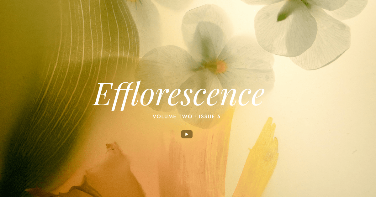 Issue Five – The Primer